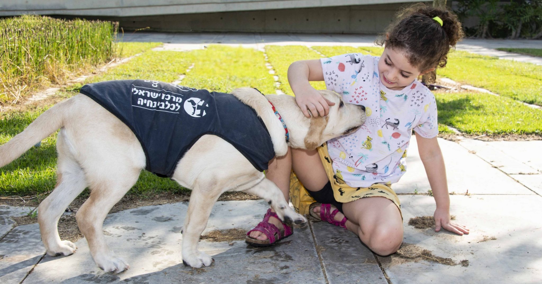 Your Donation Matters - Canadian Friends of The Israel Guide Dog Center